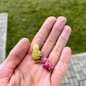 Miniature Fruit, 1/6 Scale Doll Food, Grape 1/12 1/6, Miniature Food ...