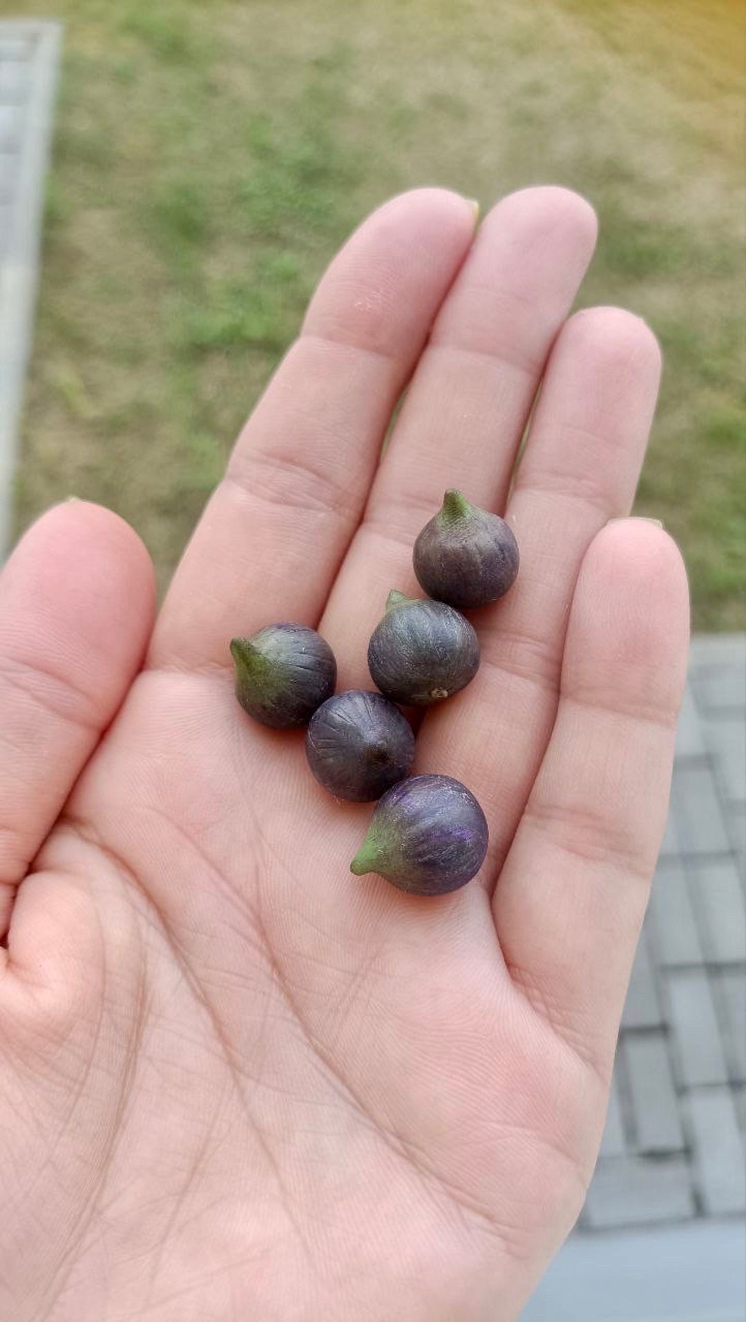 Miniature Fig Fruit 1/6 Scale, Miniature Food, Dollhouse Miniature ...