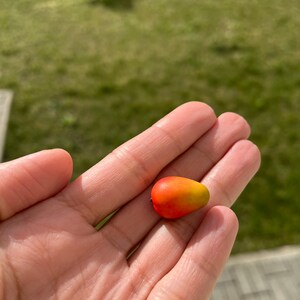1:6 Scale Mango, Miniature Fruit, Tiny Kitchen, Miniature Food 1/6 ...