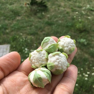 Miniature Cauliflower 1:6 Scale Doll Food Miniature Food - Etsy