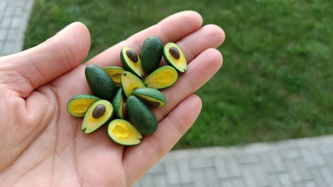 Miniature Dollhouse Avocado. 1:6 Scale Fruit. Realistic Miniature Food ...