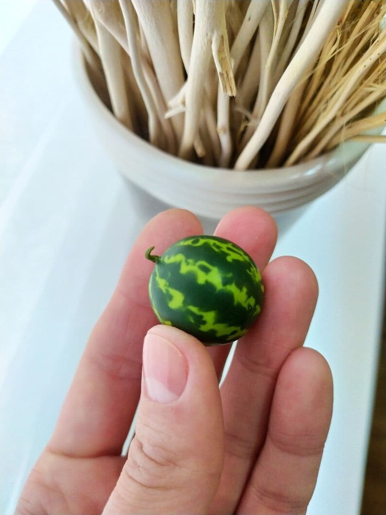 Miniature Watermelon 1/6 Scale Dollhouse Miniatures 1/6 - Etsy
