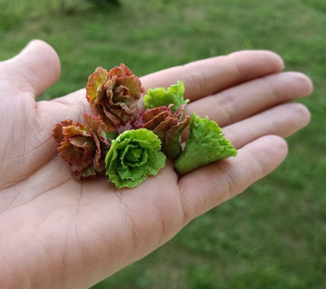 Miniature Lettuce 1/12 1/6 Scale, Miniature Food, Doll Food, Doll ...