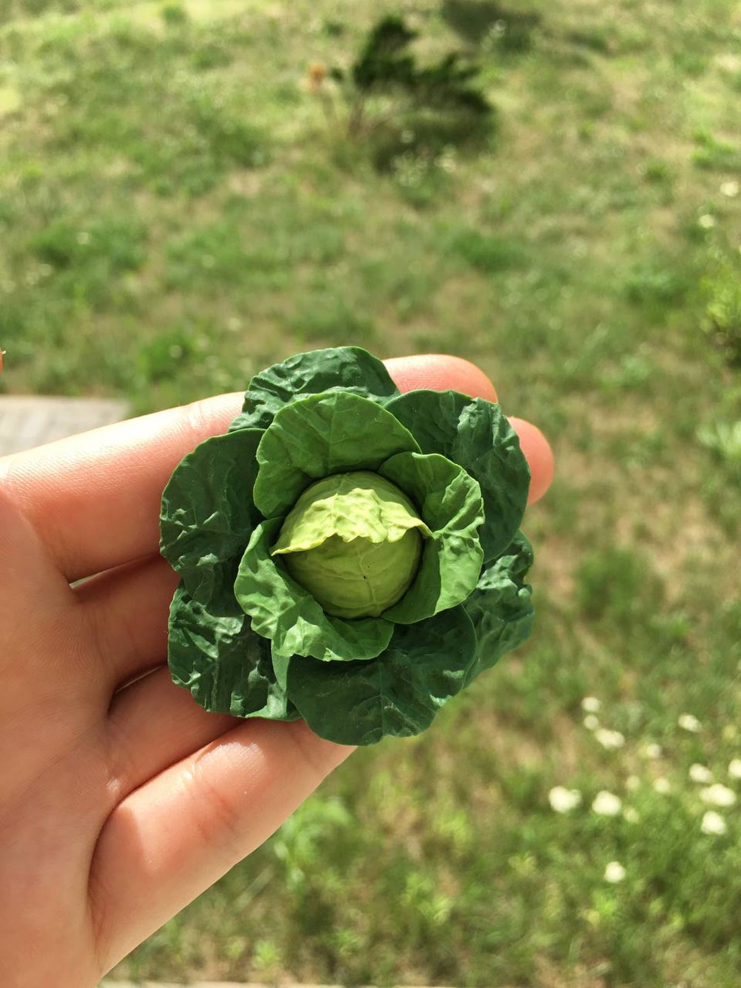 Miniature Cabbage 1/12 and 1/6 Scale, Miniature Food for Doll, Doll ...
