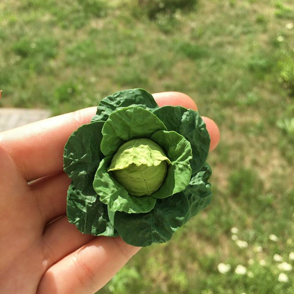 Miniature Cabbage - Etsy
