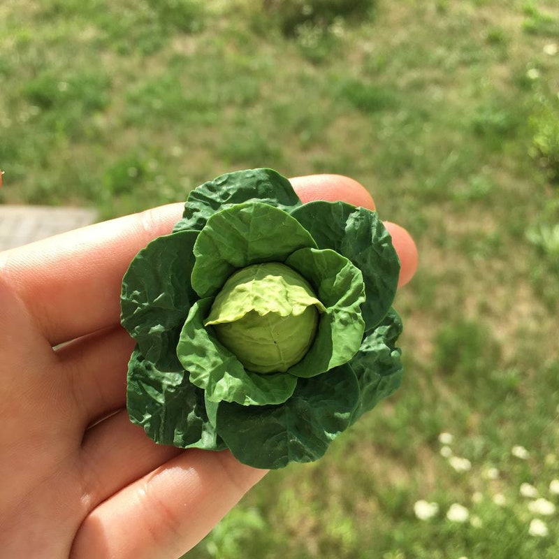 Miniature Cabbage - Etsy