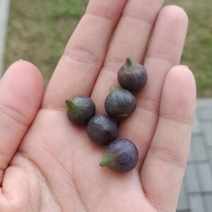 1/6 Scale Fruit, Miniature Food for Dollhouse, Tiny Figs, Dollhouse ...