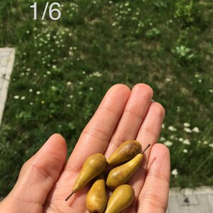 1/12 1/6 Miniature Fruit Dollhouse Fruit Dollhouse Miniature Pears ...