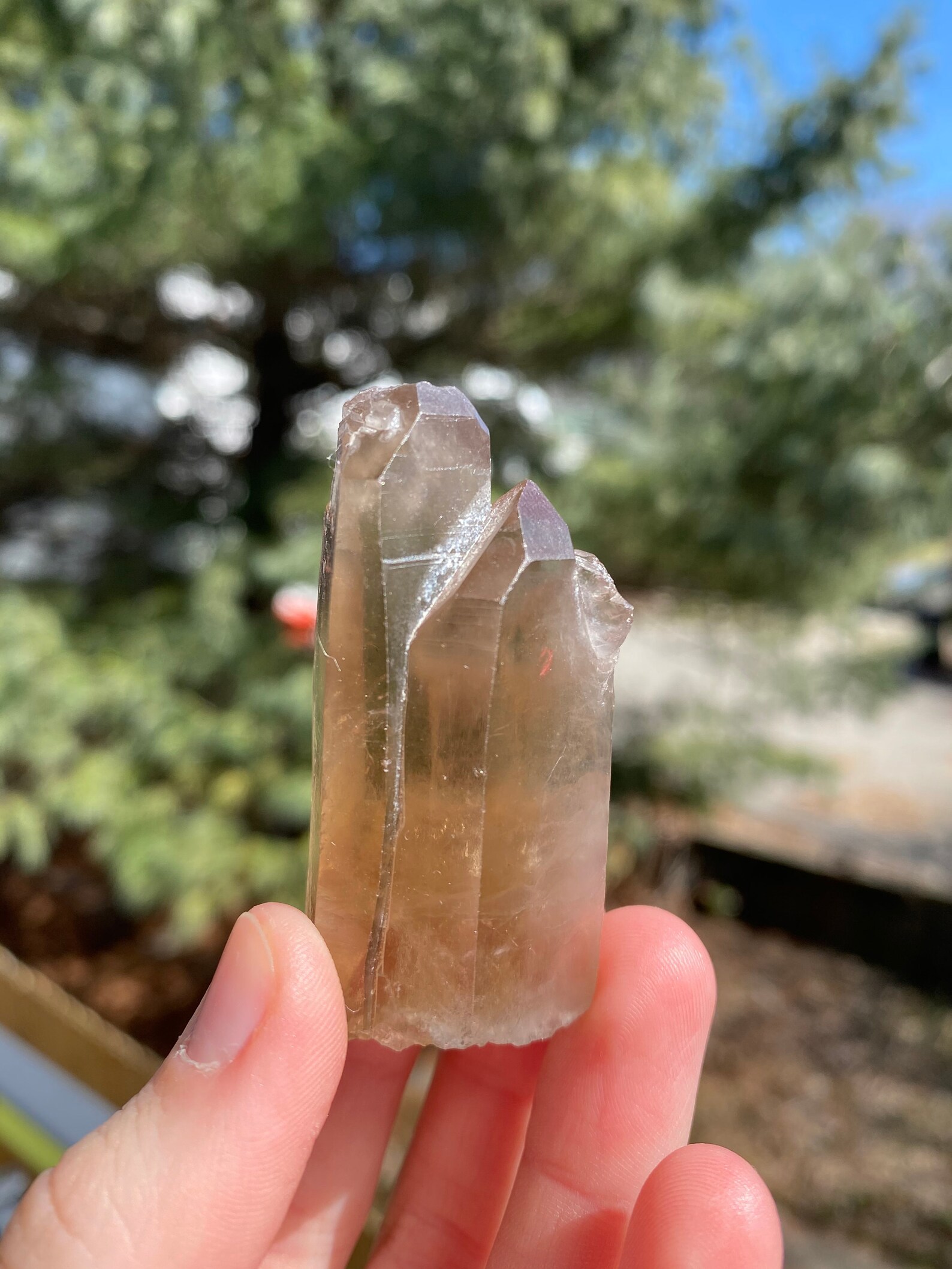 Zimbabwean Smoky Citrine Quartz From Marondera Zimbabwe | Etsy