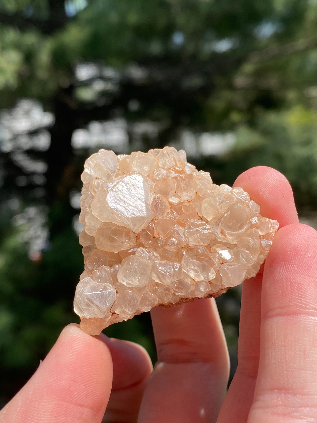 Natural Calcite Cluster Specimen From Tennycape, Nova Scotia, Authentic ...