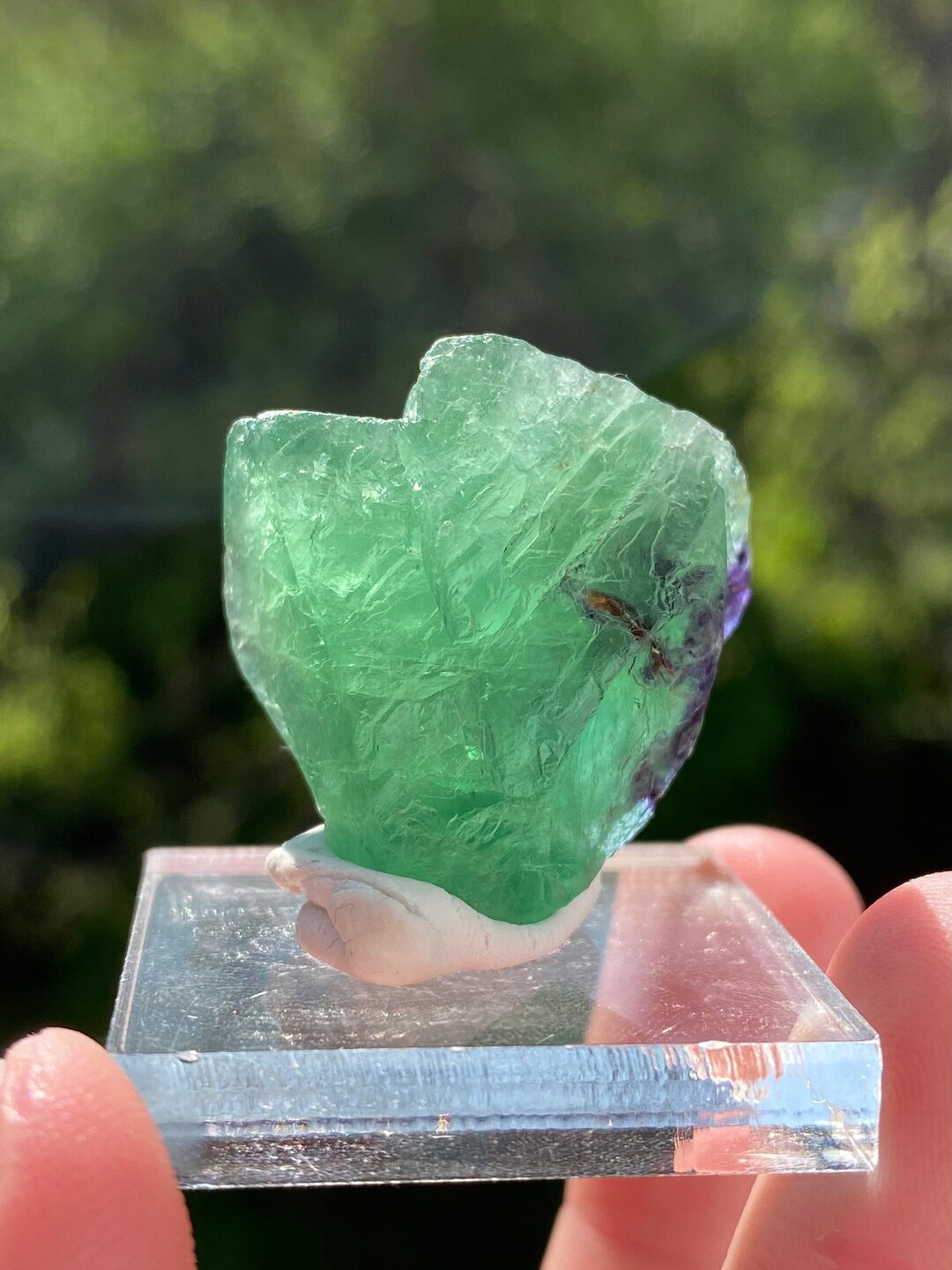 Green + Purple Erongo Fluorite From Erongo Mountains, UV FLUORESCENT ...