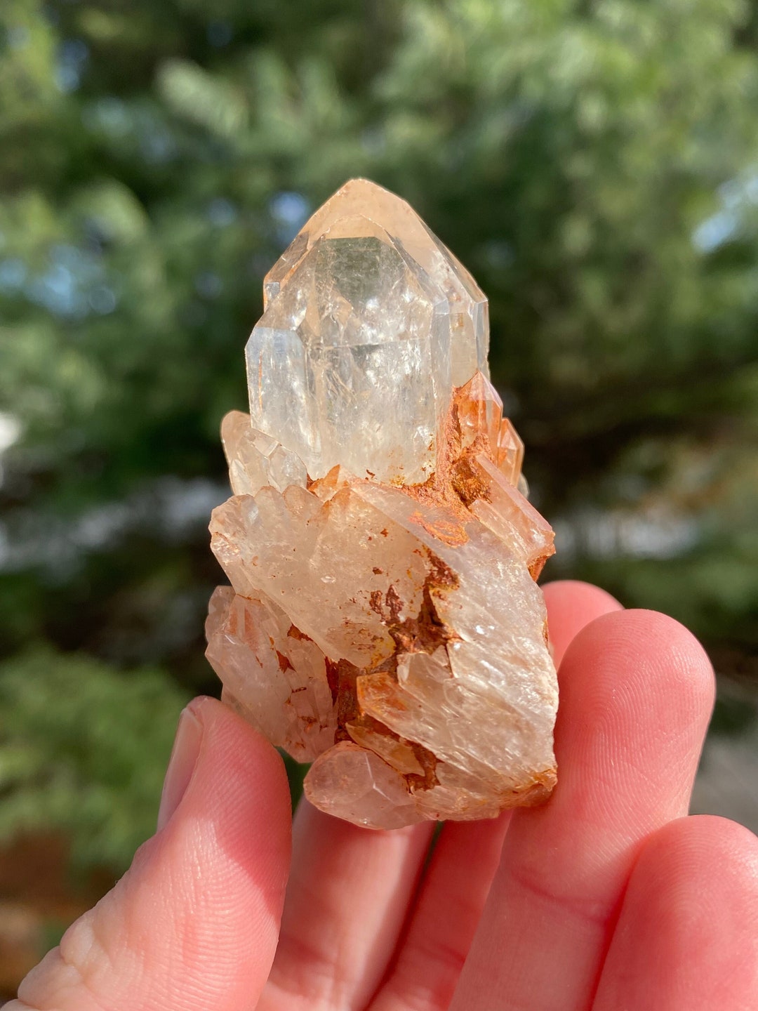 Kundalini Citrine CLUSTER With Rainbows, RARE Authentic Congo Citrine ...