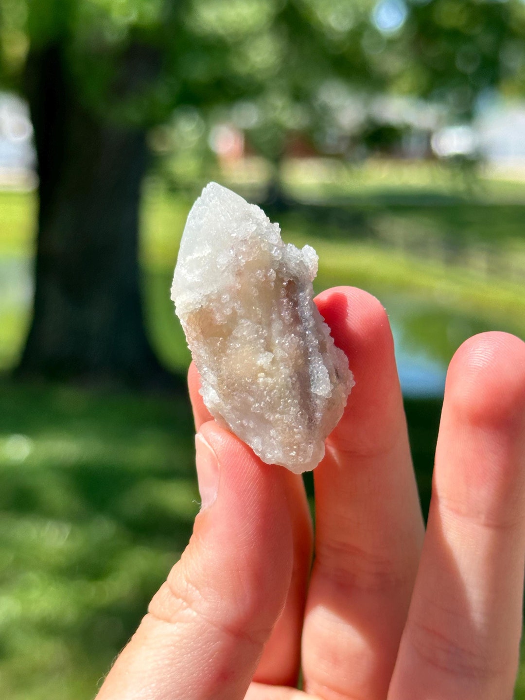 Witches Finger Quartz, Grey Goblin Finger Quartz, South African Cactus ...