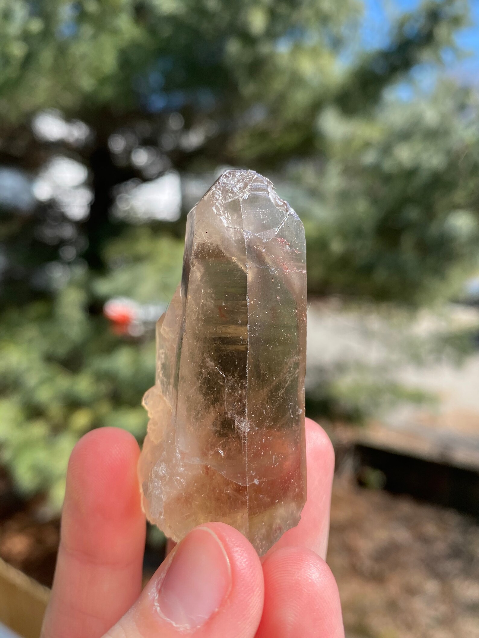 Zimbabwean Smoky Citrine Quartz From Marondera Zimbabwe | Etsy