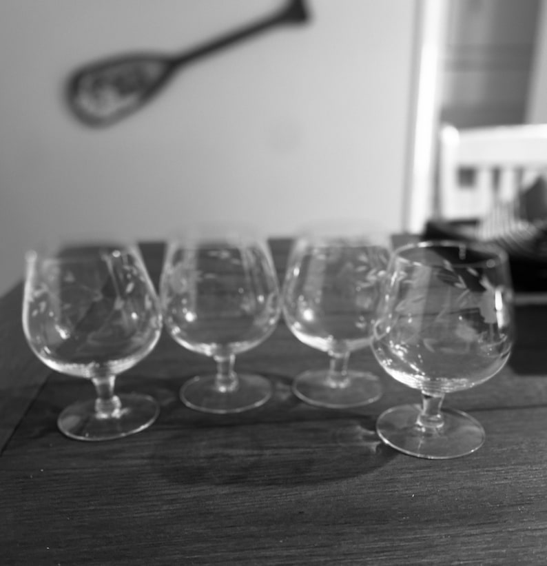 Princess House Heritage Pattern Handblown Etched Crystal Brandy Cognac ...