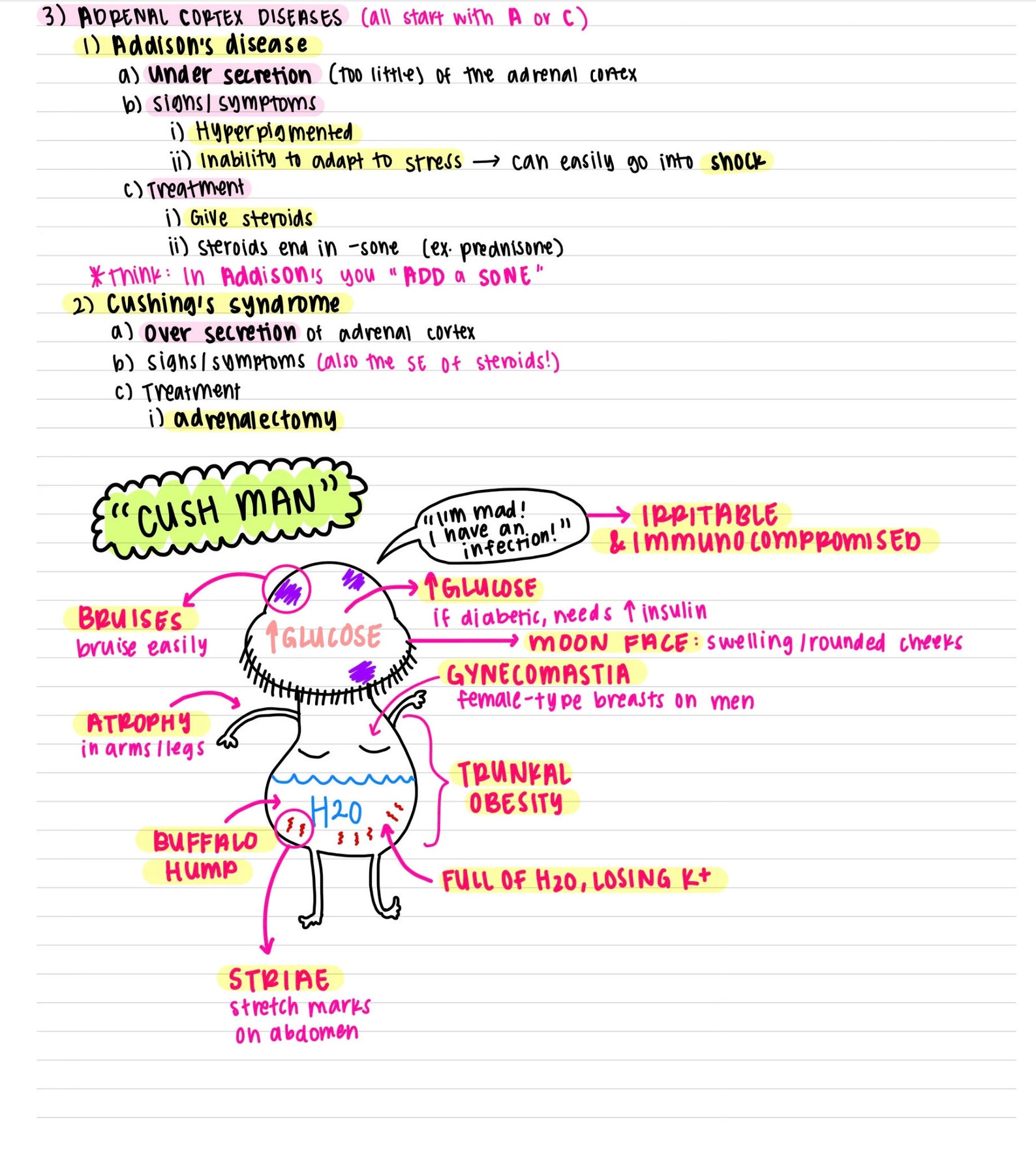 NCLEX Ultimate Review Guide! Over 2,000 Sold! - Etsy