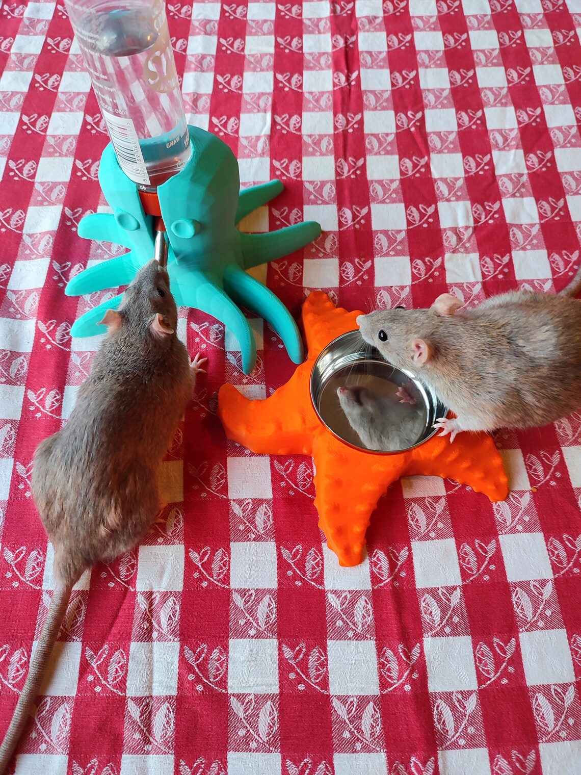 Stand-alone Bottle Holder 3D Printed for Rats Hamsters | Etsy