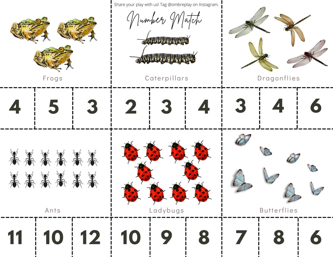 Buy Insects Number Match Kids Learning Printable - DIGITAL Download ...
