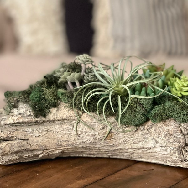 Succulent Log Planter - Etsy