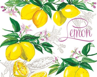 Lemon Paper Napkins | Etsy