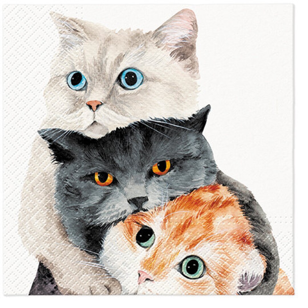 Decoupage Paper Decoupage Napkins Decoupage Napkins Cats - Etsy