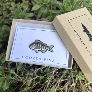 Sheepshead - Fish Pin With Gift Box - Etsy