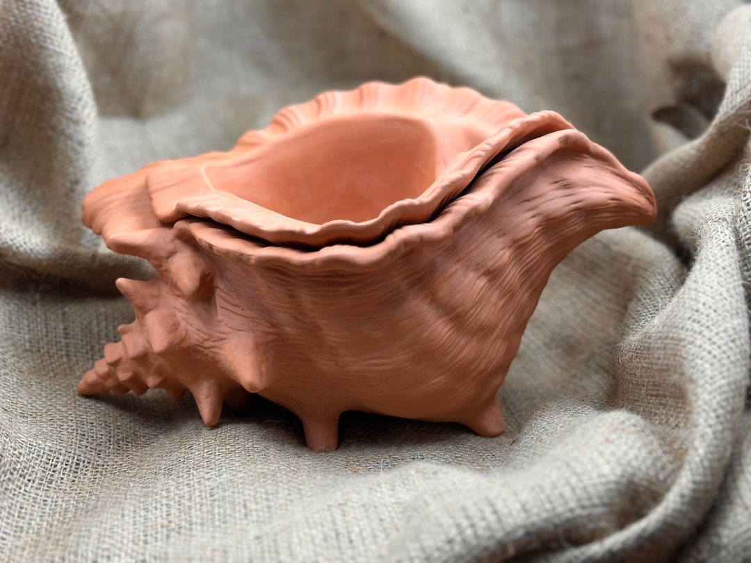 Terracotta Sea Shell Pot - Etsy