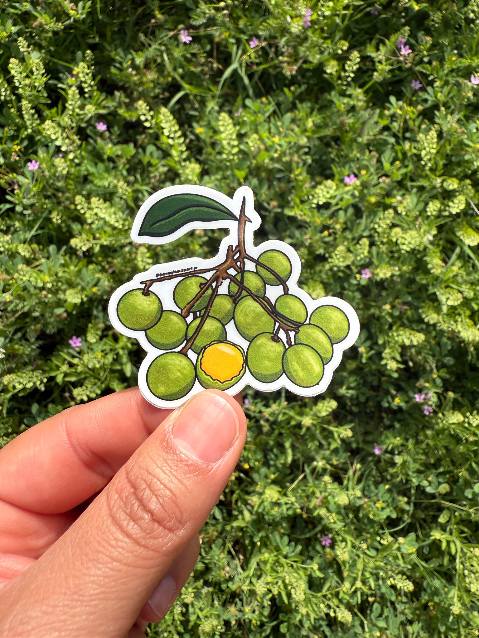 Puerto Rico Stickers⎪boricua Stickers Pack⎪quenepas Sticker⎪bandera De ...