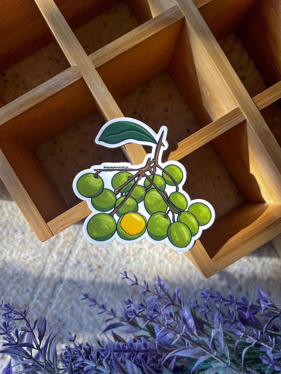 Puerto Rican Quenepa Fruit Illustration Sticker - Etsy