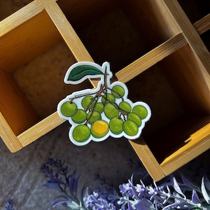 Puerto Rico Fruit "quenepa" Sticker⎪stickers Boricuas⎪boricua Stickers ...