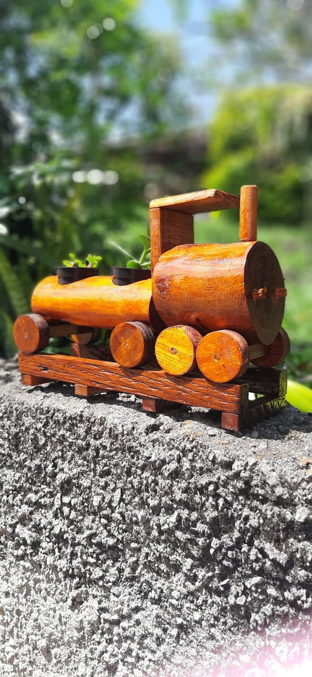MAGIC LOCOMOTIVE !transform Your Garden Into a Railway Paradise With ...