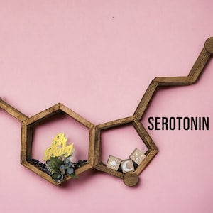 Serotonin / Happiness / Molecule Art / Wall Art - Etsy