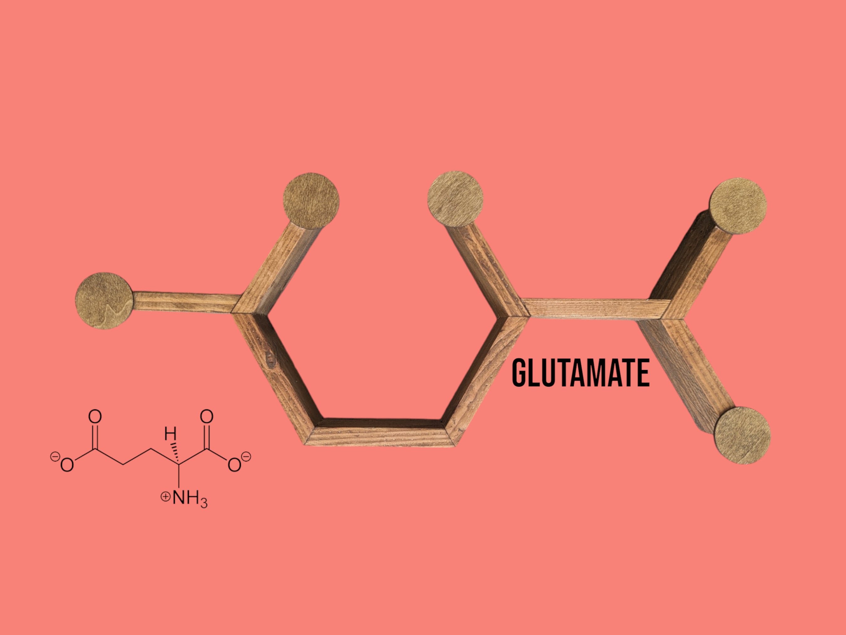 Glutamate / Memory / Molecule Shelf / Wall Art - Etsy