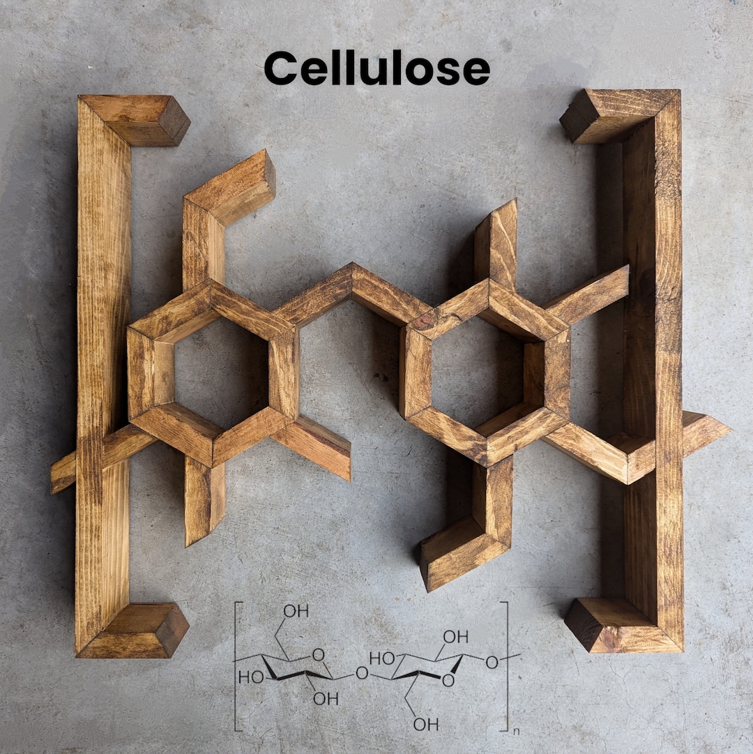 Cellulose / Plant Cell Wall / Molecule Art / Wall Art - Etsy