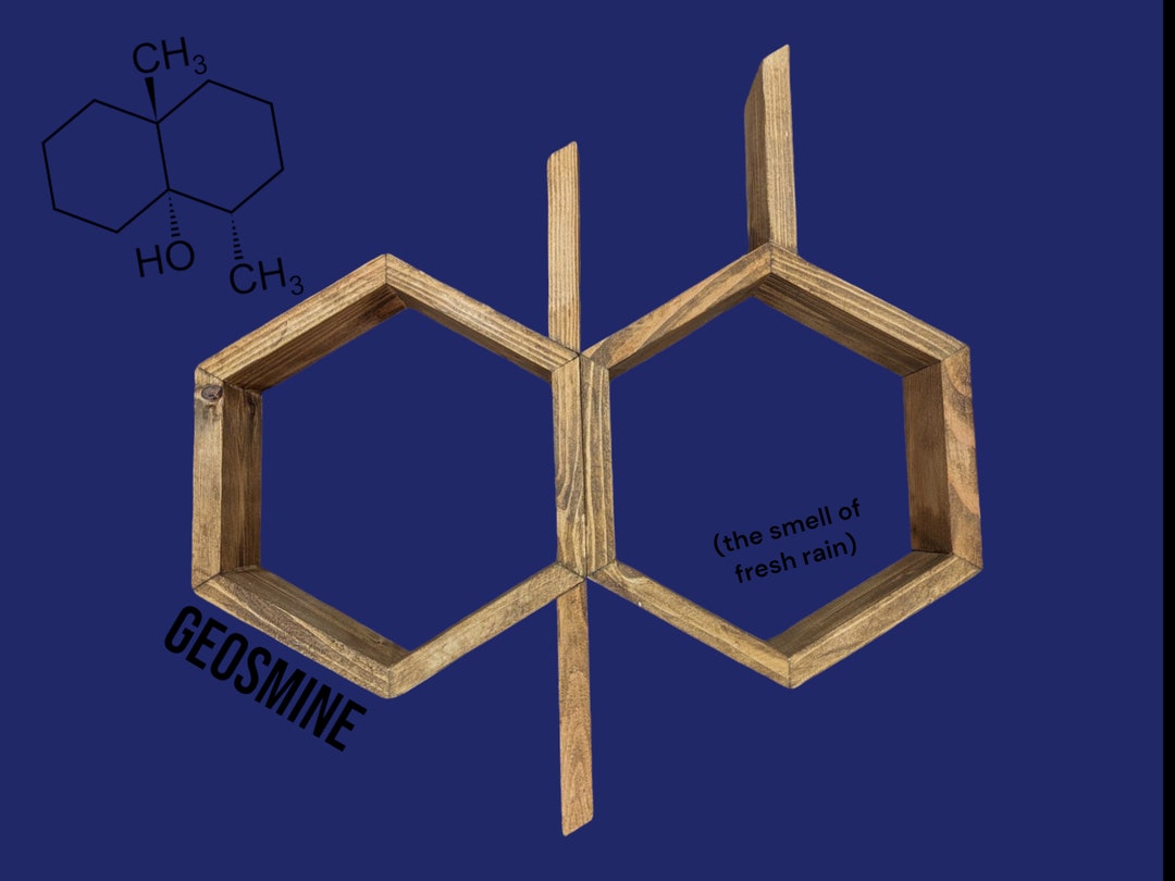 The Smell of Rain / Geosmin / Molecule Art - Etsy