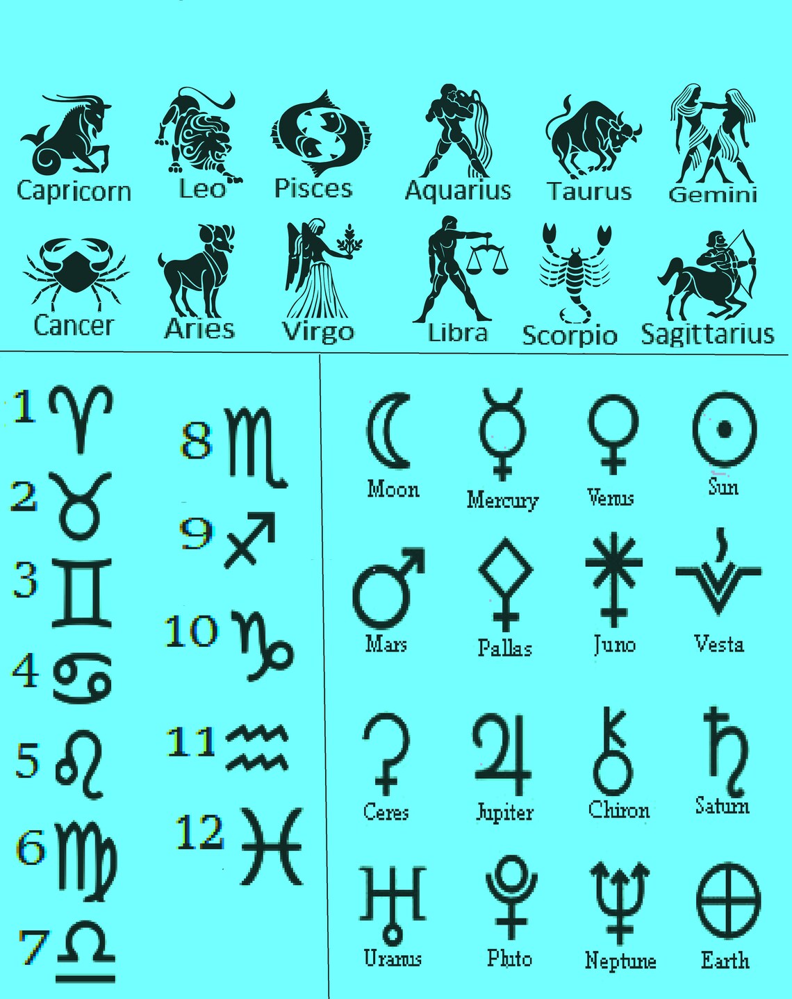 Oval Signet Ring Masonic Campass Ring Famiy Crest Signet - Etsy