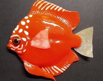 Discus Fish | Etsy