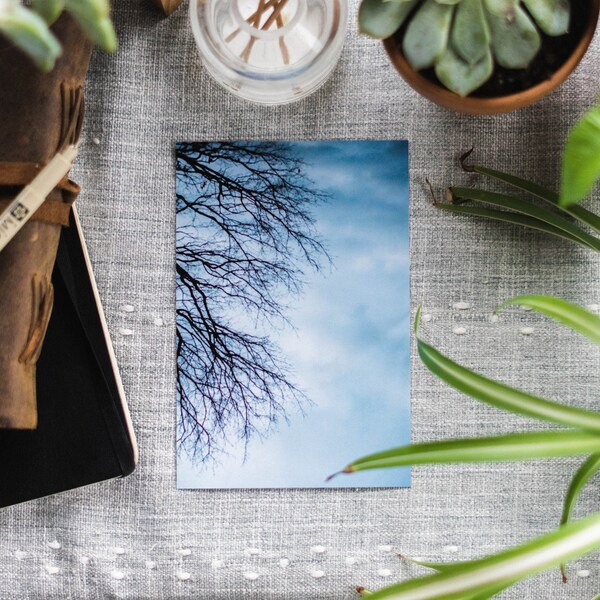 Barren Trees - Etsy