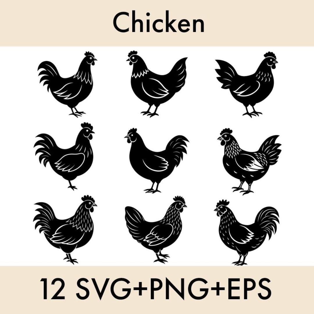 Chicken Svg SVG Bundle, Chicken PNG Bundle, Chicken Clipart, Chicken ...