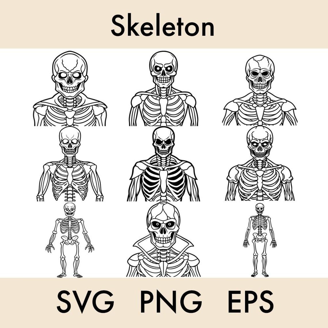SKELETON SVG, Skeleton Svg Bundle, Skeleton Clipart, Skeleton Cut Files ...