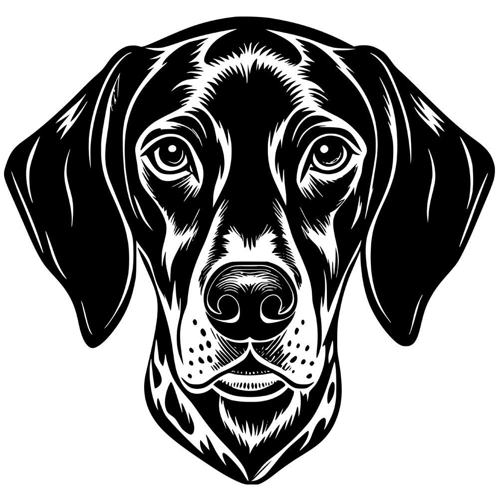 German Shorthaired Pointer SVG Bundle, Peeking Dog Vector (digital ...
