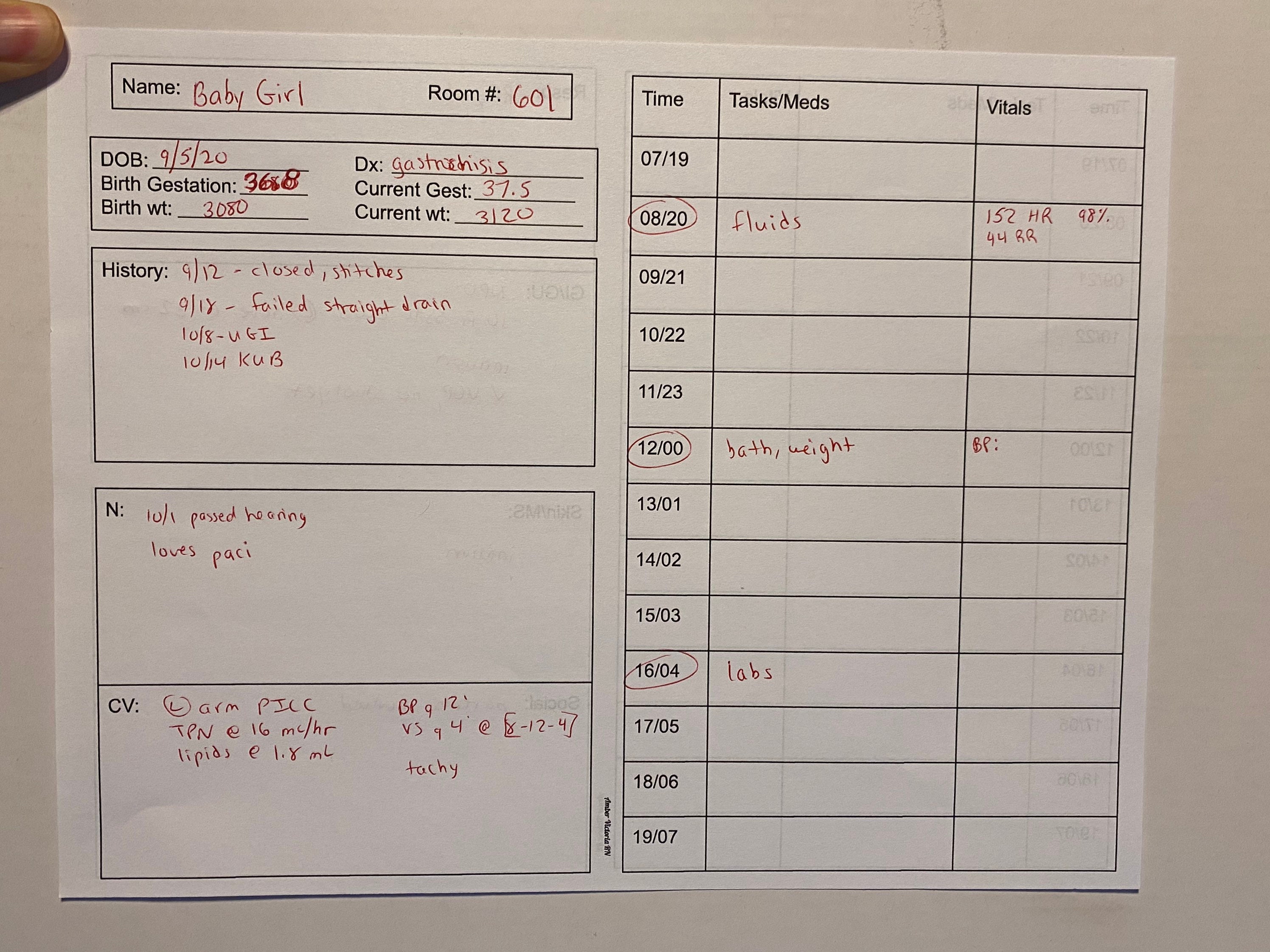 Nursing: NICU Pocket Handoff, SBAR, Report Sheet - Etsy UK