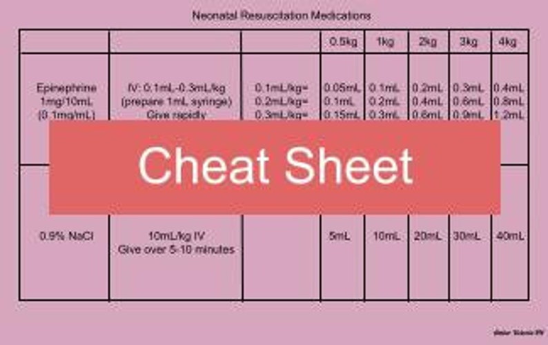 Nursing L&D/NICU Cheat Sheet Badge Card Pocket Reference - Etsy France