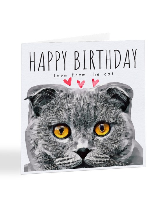 Happy Birthday Love From The Cat Scottish Fold Birthday | Etsy