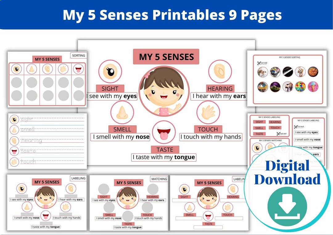Learn My 5 Senses Human Body Pack Busy Book Homeschool Printable/ Human ...