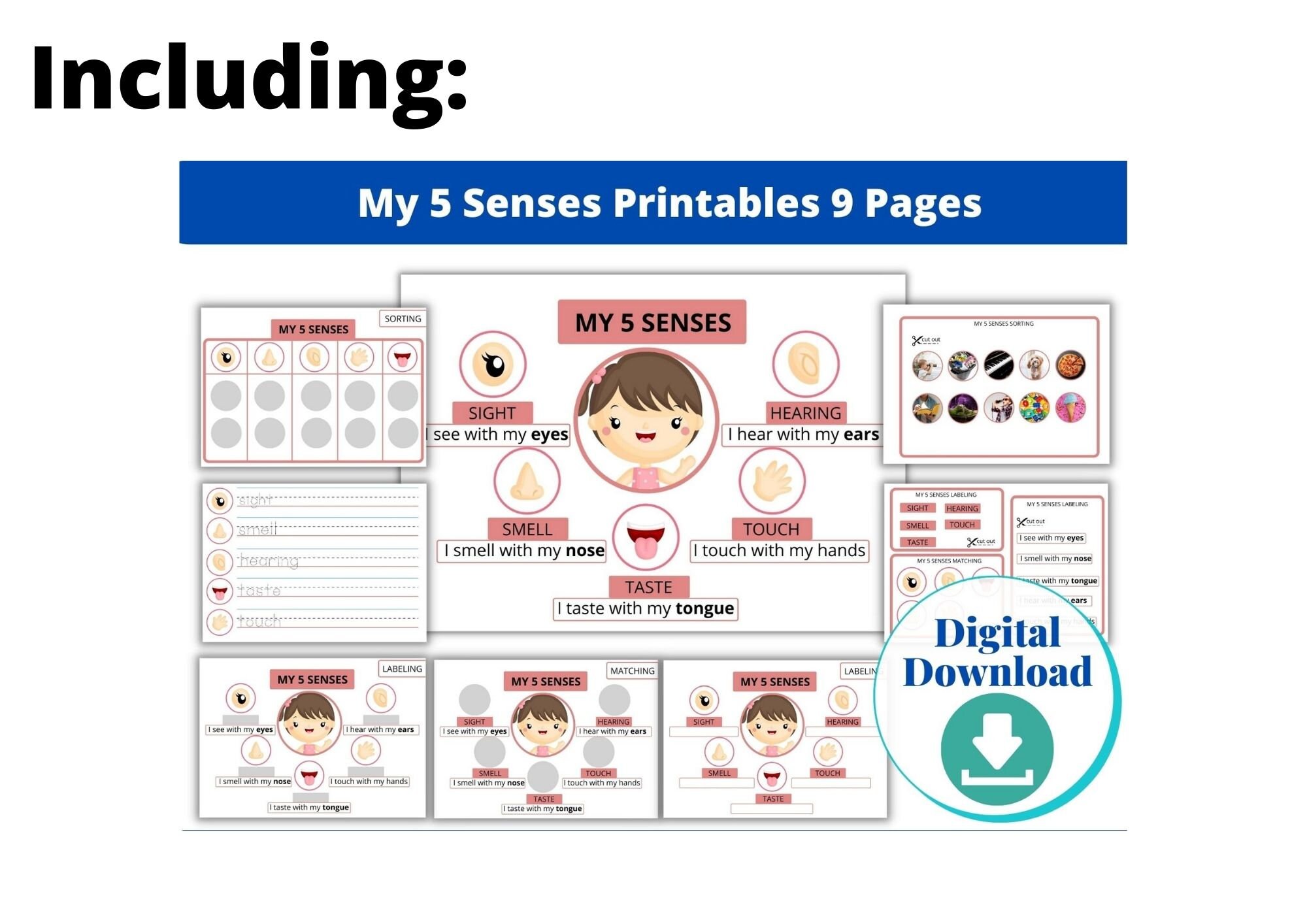 Learn Human Anatomy Bundle Pack Busy Book Homeschool Printable/ Human ...