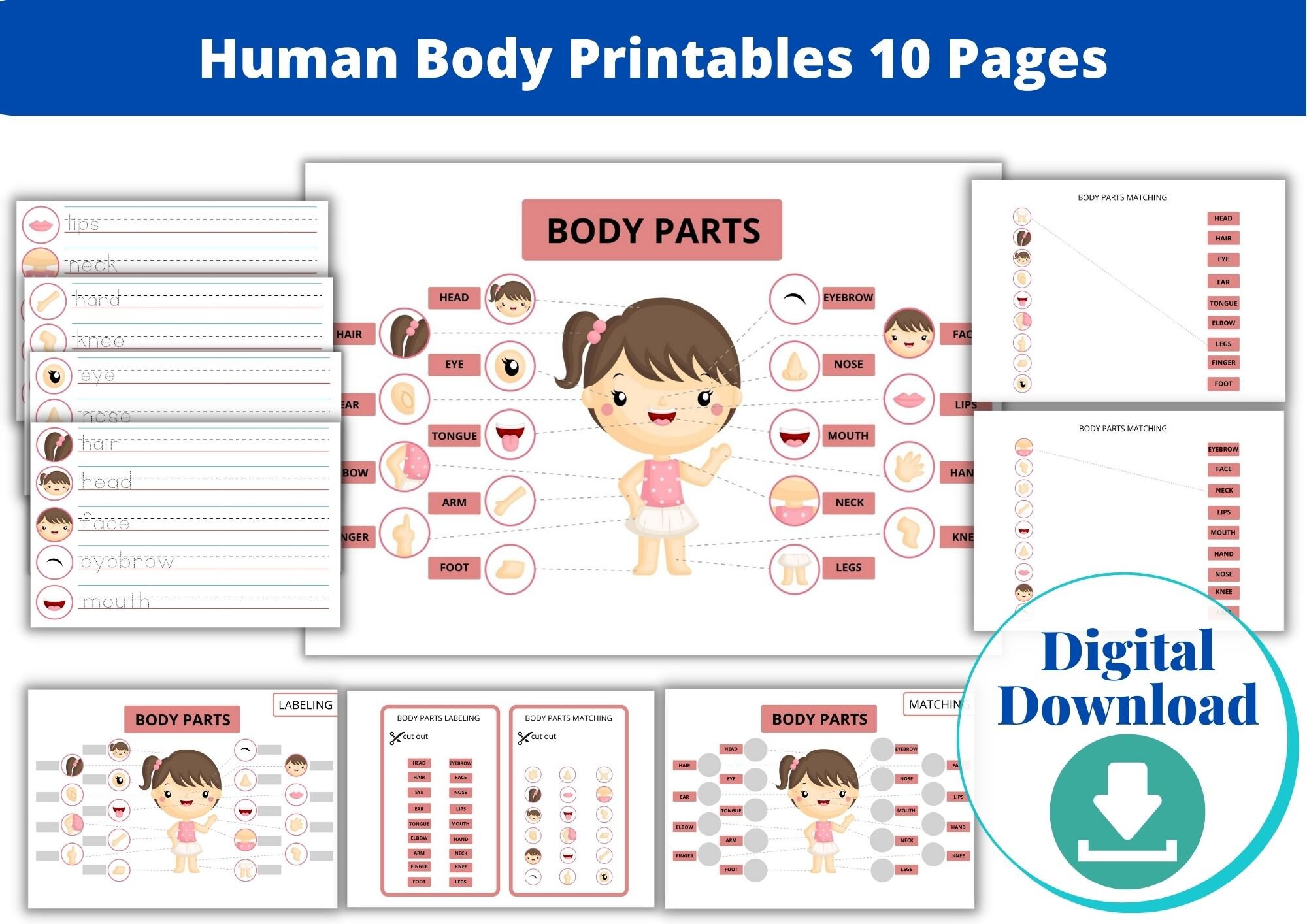 Learn Human Body Parts Pack Busy Book Homeschool Printable/ | Etsy