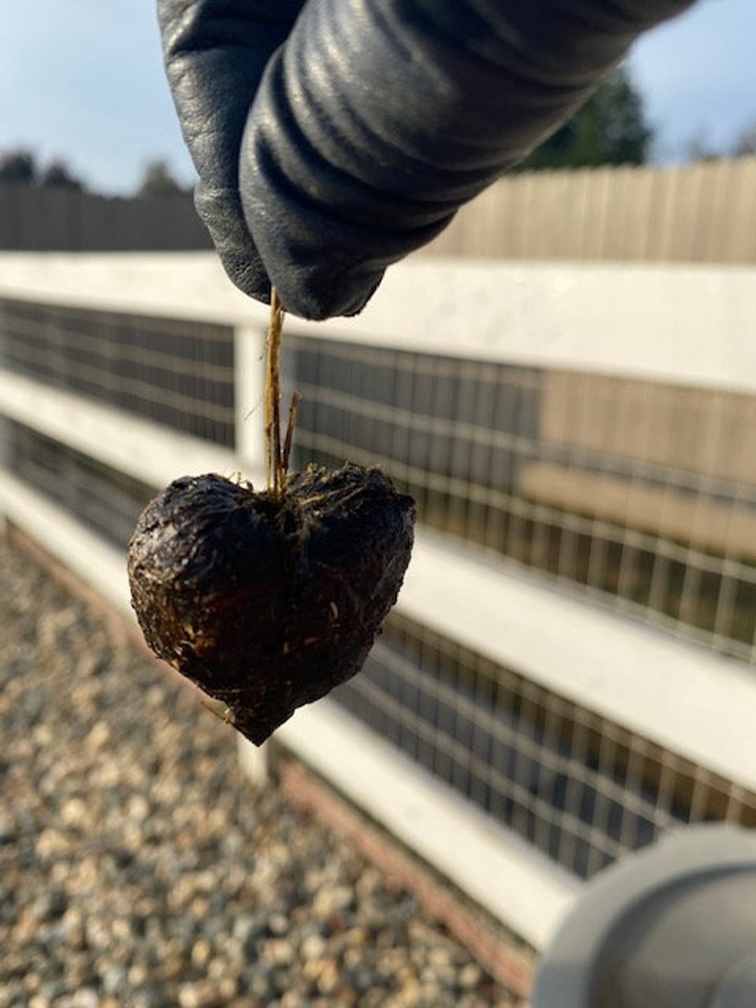 Pig Poop Hearts - Etsy