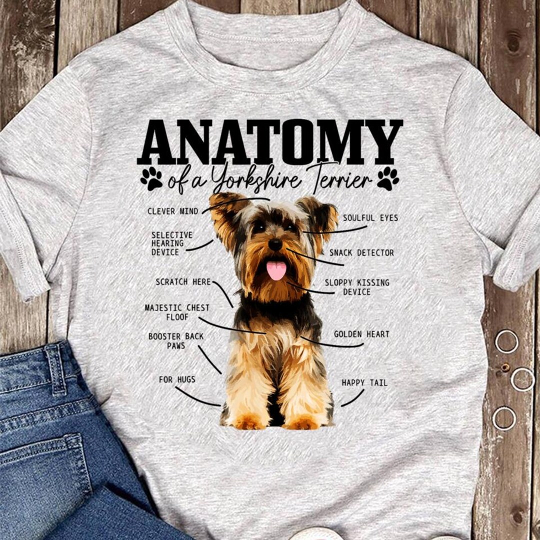 Anatomy of A Yorkshire Terrier Cute Dog Yorkie Mom Dad - Yorkie Lovers ...