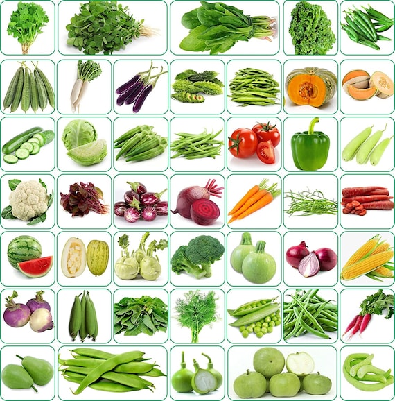 45 Variety 3500 Seeds of Vegetable Seeds Free Shipping | Etsy